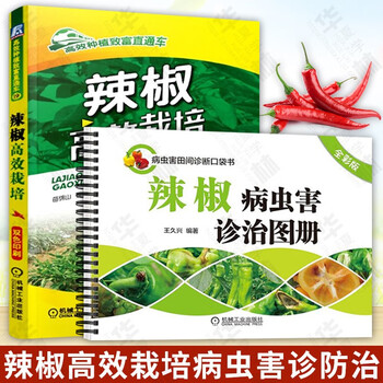 辣椒高效栽培+辣椒病虫害诊治图册（全彩版）种辣椒的书 辣椒种植栽培技术大全 植物栽培 农作物栽培书籍 辣椒高效栽及病虫害诊治2册