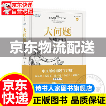 【官方正版】大问题 简明哲学导论 第十版 第10版 经典再现 哲学理论与流派 真理追寻 清华大学出版社