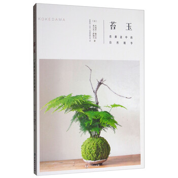 苔玉（苔藓盆中的自然精华）