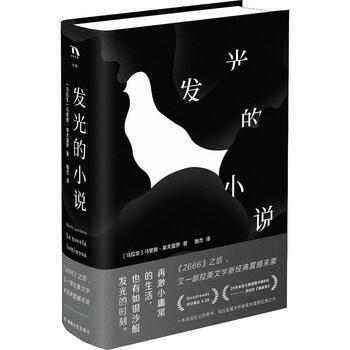 发光的小说