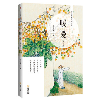 暖爱（修订版） 暖心作家丁立梅散文精选集之一 温情类的文风朴实灵动