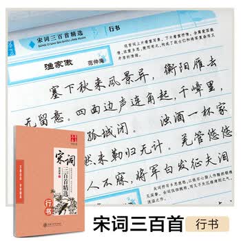 田英章书楷书字帖行书大学生成年正楷体手写临摹本硬笔练字帖 行书-宋词三百首精选