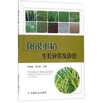 图说水稻生长异常及诊治