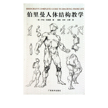 伯里曼人体结构教学