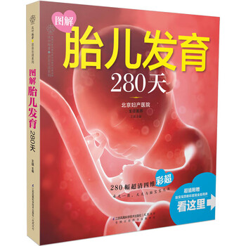 图解胎儿发育280天 胎教书籍 胎教故事书 怀孕书籍 孕期书籍大全 孕妇书籍大全 怀孕期 胎教用品 