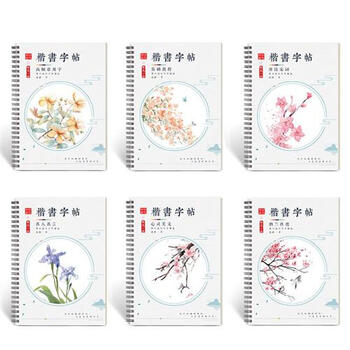 成小学生帖楷字帖凹槽练字正楷体高中生楷书速中初学者练字本 簪花小楷：6本套装【