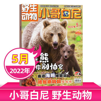【包邮现货速发】小哥白尼杂志每月单期持续更新【军事科学】【野生动物】【神奇星球】【趣味科学】4刊可选 2025年5月野生动物