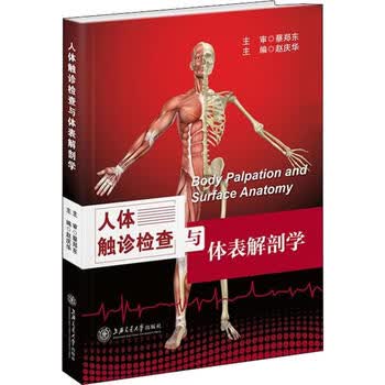人体触诊检查与体表解剖学