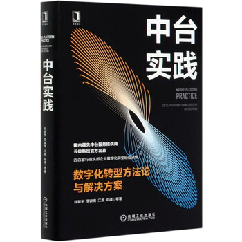 中台实践(数字化转型方法论与解决方案)(精)