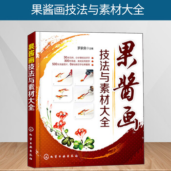 果酱画技法与素材大全 果酱画盘饰围边 盘饰造型设计书写意果酱画盘饰 果酱画入门到精通 装盘摆盘创意