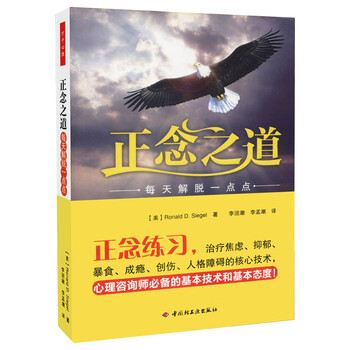 正念之道-每天解脱一点点 心理学 书籍