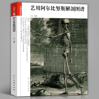 艺用阿尔比努斯解剖图谱 人体骨骼与肌肉图谱 结构素描 王方 著