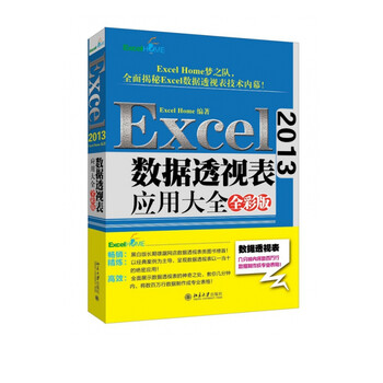 Excel2013数据透视表应用大全(全彩版)