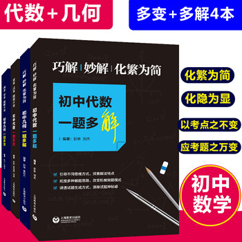 正版初中代数几何 一题多解一题多变4本套装 初中代数几何专题训练 含答案 初中数学解题指导通用教辅书