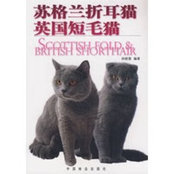 苏格兰折耳猫 英国短毛猫【正版图书】