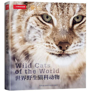 世界野生猫科动物