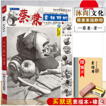 素描几何体 静物头像色彩照片 蔡兼素描静物2020