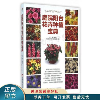 庭院阳台花卉种植宝典