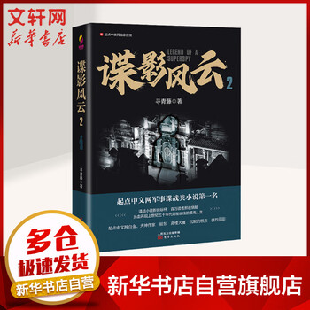 谍影风云 2