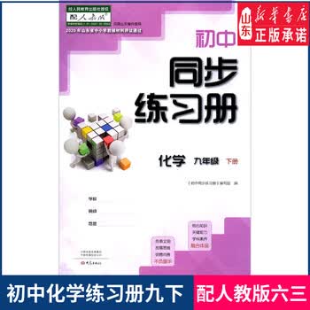 初中化学同步练习册九年级下册配人教版大象出版社