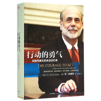 行动的勇气(金融风暴及其余波回忆录)(精)
