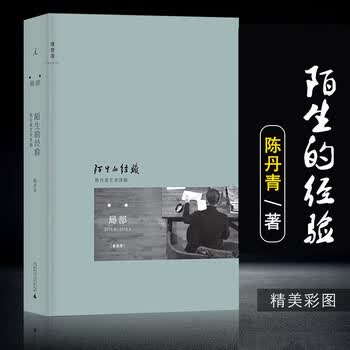陌生的经验 陈丹青的私人美术史 网络节目《局部》讲稿 三百余幅精美彩图 年度艺术话题读物 书籍 艺术正版