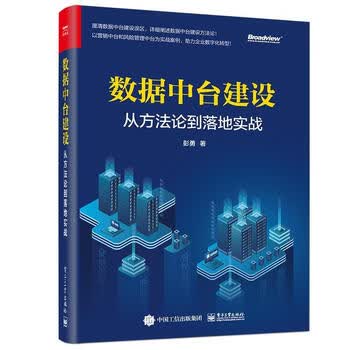 RT现货包邮 数据中台建设:从方法论到落地实战彭勇电子工业出版社9787121417245 企业管理