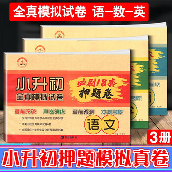 2022新版小升初全真模拟试卷必刷18套押题卷小学生语文数学英语六年级重点中学招生真卷分班测试卷 语文数学英语