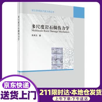 多尺度岩石损伤力学 朱其志 著 科学出版社