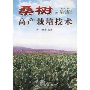 桑树高产栽培技术龚垒