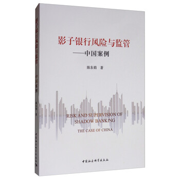 影子银行风险与监管：中国案例
