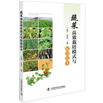 蔬菜高效栽培模式与配套技术