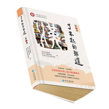 了不起的非遗 文化 书籍
