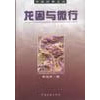 龙困与微行 权延赤