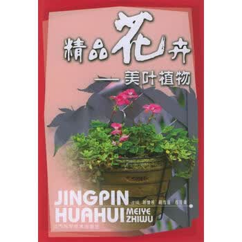 精品花卉-美叶植物