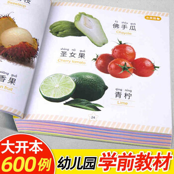 认物大全认标志认水果动物形状颜色绘本儿童0-3-6岁宝宝启蒙认知读物认识名车各国卡片书籍