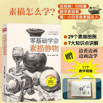 零基础学会素描静物