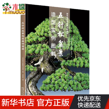 五针松盆景造型实例图解(精)/绿手指日本盆景大师系列