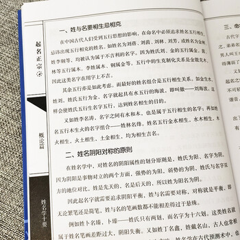正版刘氏易道智慧系统系列丛书-姓名篇 起名正宗 刘振学刘妍博 姓名学书籍取名起名字五行 取名字宝宝取