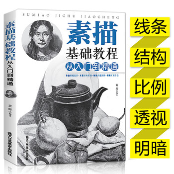 正版素描基础教程从入门到精通 素描教程书入门初自学零基础绘画书籍 学画画的书基础素描个体石膏几何体临