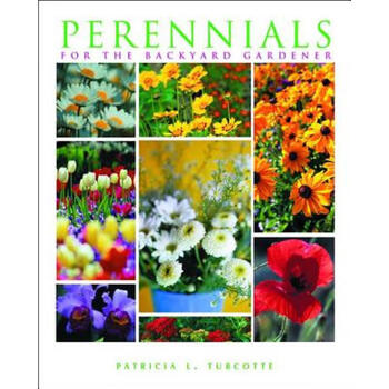 Perennials for the Backyard Gardener