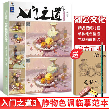 【】入门之道3静物色调临摹范本 2022烈公文化王峰色调照片对画临摹范本基础单体组合色彩画册