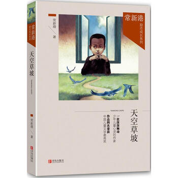 天空草坡 常新港 著 儿童文学 
