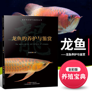 正版书籍 龙鱼的养护与鉴赏  家庭养殖 金龙鱼 银龙鱼 龙鱼养殖技术书籍 高效养龙鱼 龙鱼常见疾病防