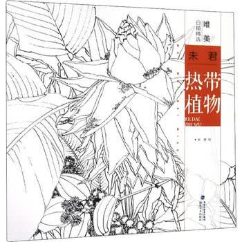 唯美白描精选 未君 热带植物