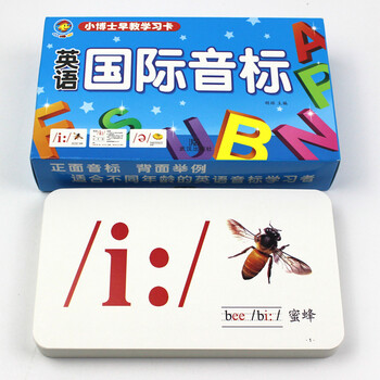 无图音标 48个音标卡 儿童英语启蒙学习卡片 幼儿早教启蒙 小学生教具英标卡英文入门教程教材 英语书