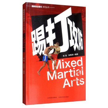 踢打攻防【正版图书，售后无忧】