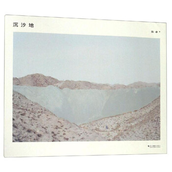 沉沙地 摄影 陈卓 浙江摄影出版社 9787551425353