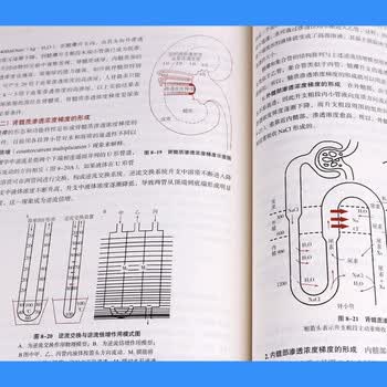 医学书籍 生理学 全国高等中医药院校规划教材第十版 人体生物学 中国中医药出版社