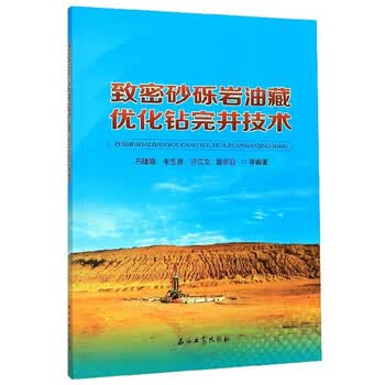 致密砂砾岩油藏优化钻完井技术